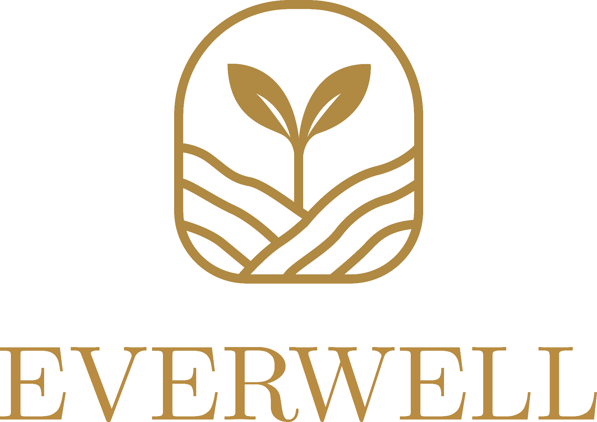 Everwell Coffee - Premium Organic Coffee | Tradition, Perfected